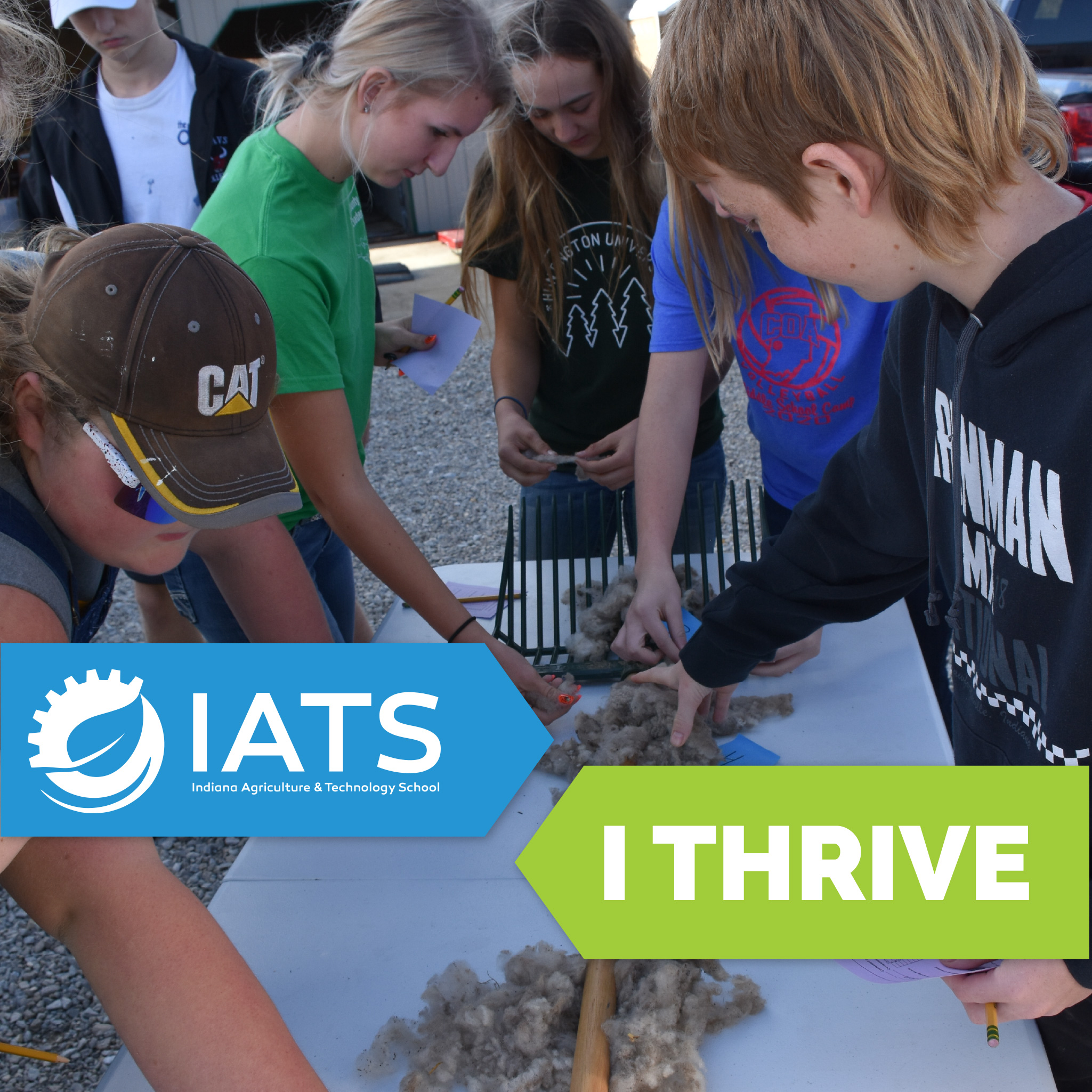 Why IATS? – Parents love us. You will too.