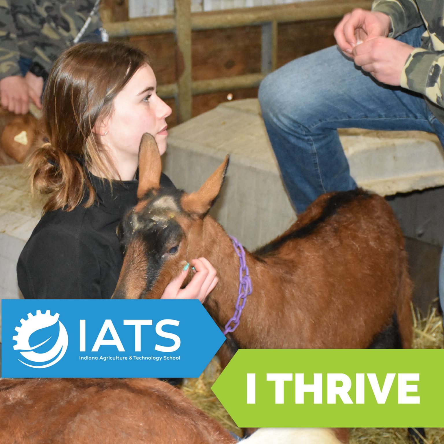 FtWayne – Why IATS?