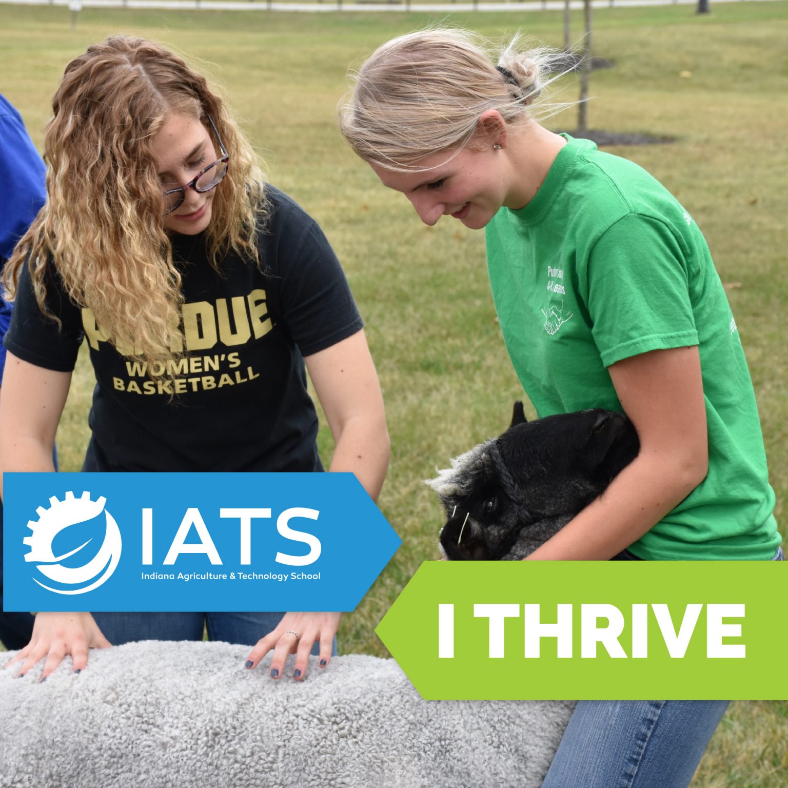 Why IATS? – Parents love us. You will too.